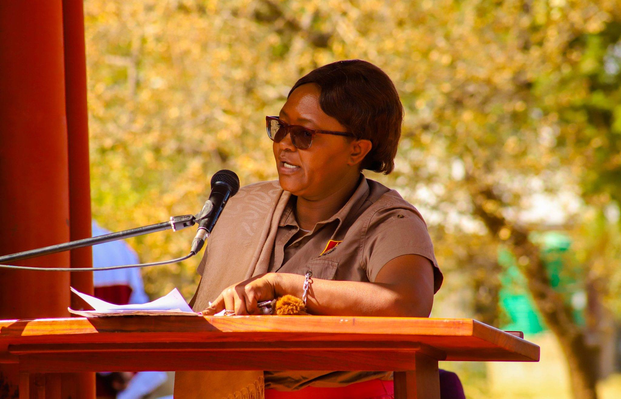 ZSM-Home - Zimbabwe School of Mines